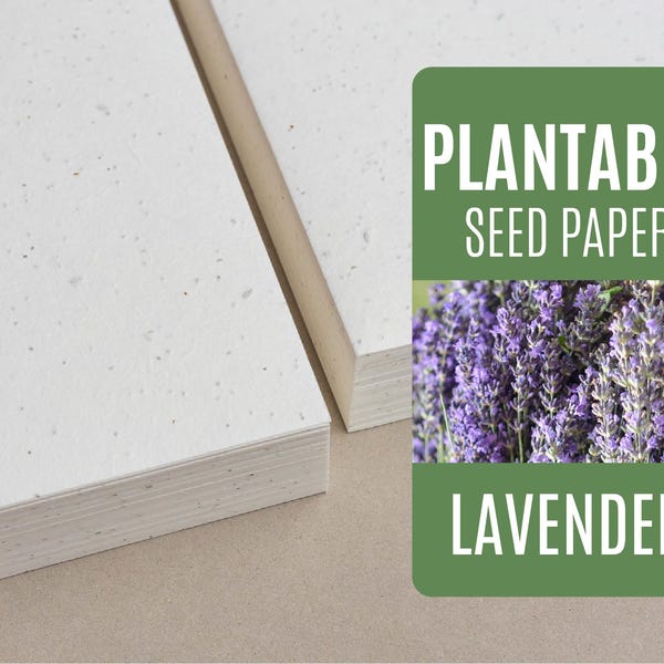 Seeded Paper - Etsy