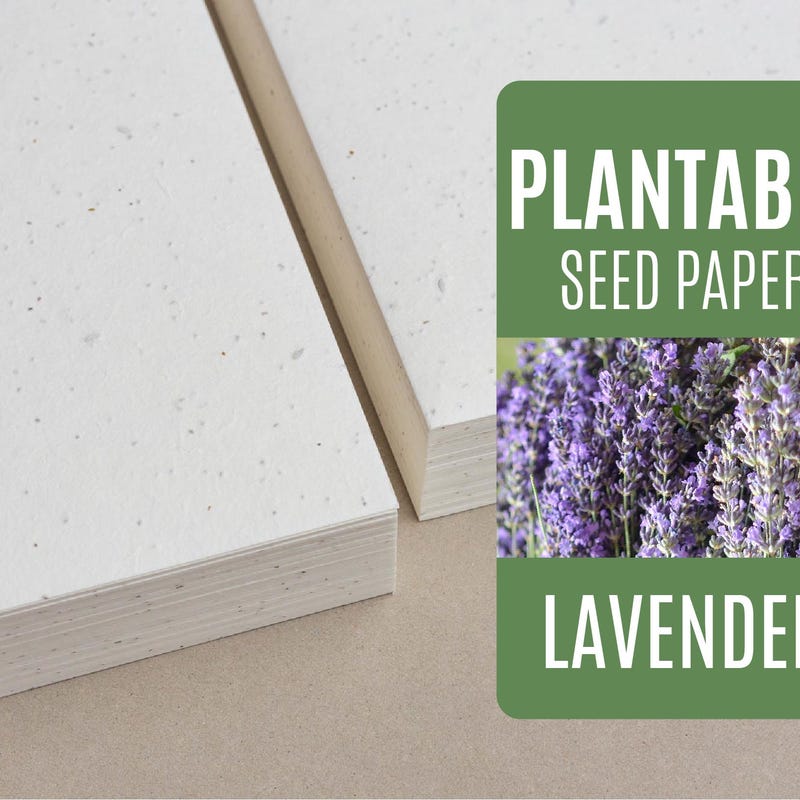 Seed Paper Blank Sheets - Etsy