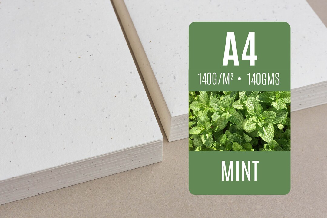 Seed Paper A4 Mint Bulk of Blank Plantable Seeded Paper Sheets ...