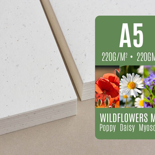 Seed Paper - Etsy