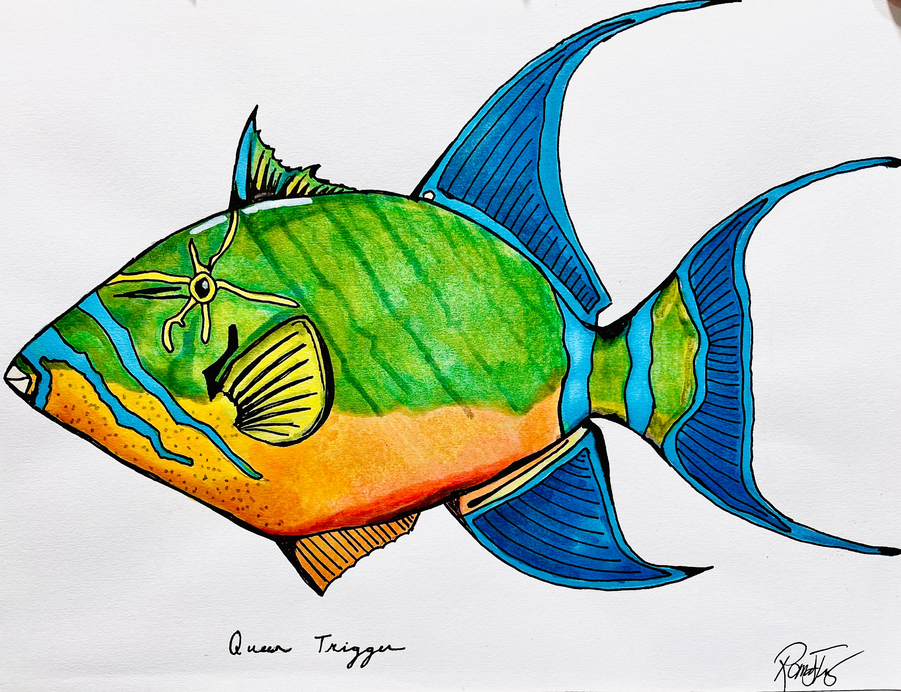 Queen Trigger Fish