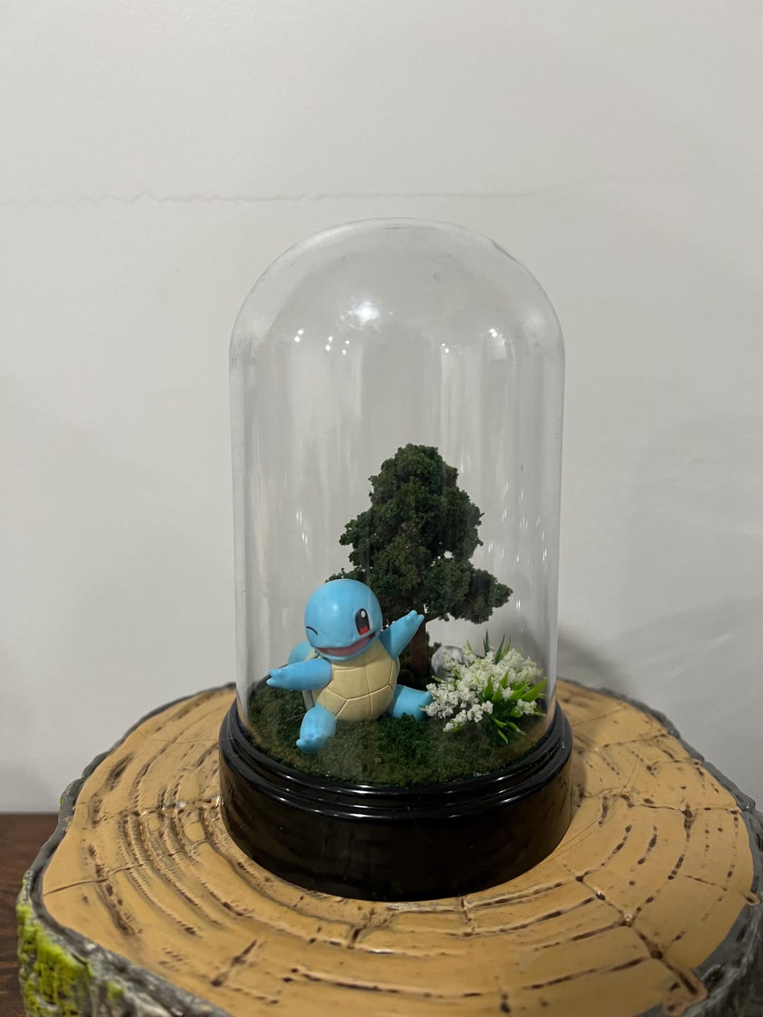 Squirtle Pokémon Terrarium Dome - Etsy