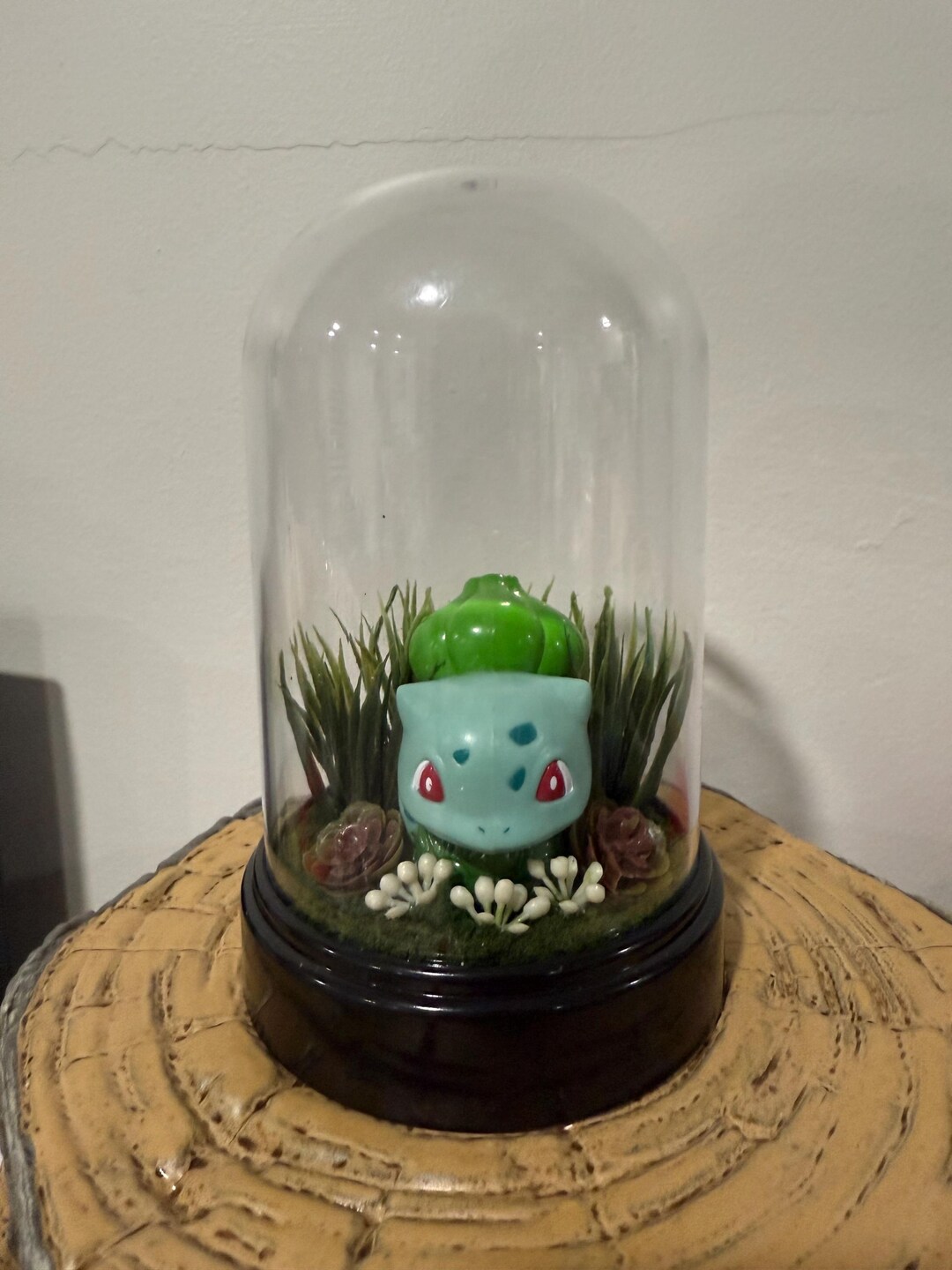 Bulbasaur Ivysaur Venasaur Starter Gen 1 Pokémon Grass Type Succulent ...
