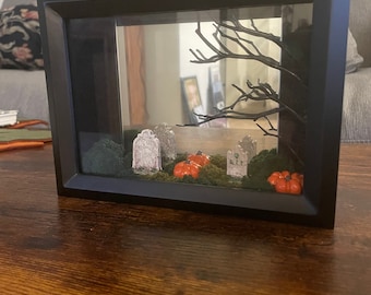 Glass Front Shadow Box - Etsy