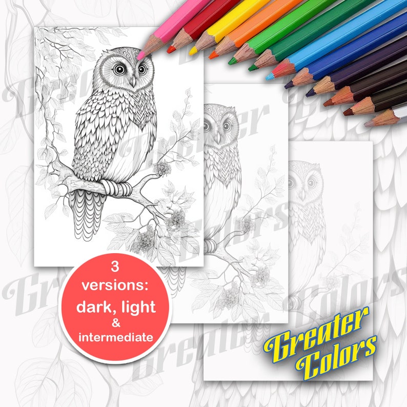 Premium Coloring Page Printable Adult Women Colouring Pages - Etsy Ireland