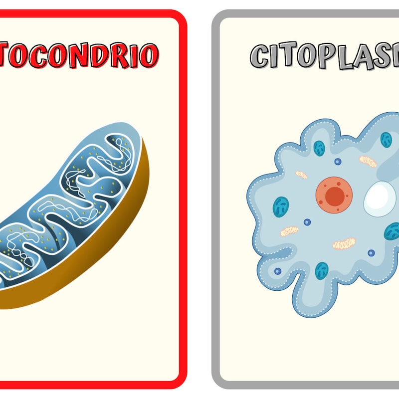 Cell Organelle Art - Etsy