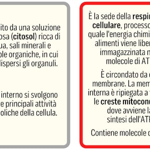 Flash Cards - Cell Organelles - Etsy