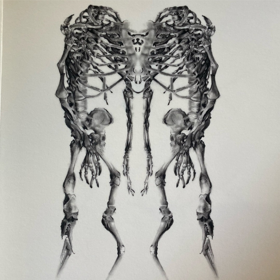 Skeleton Pencil Drawing Print Gothic Unique Art - Etsy