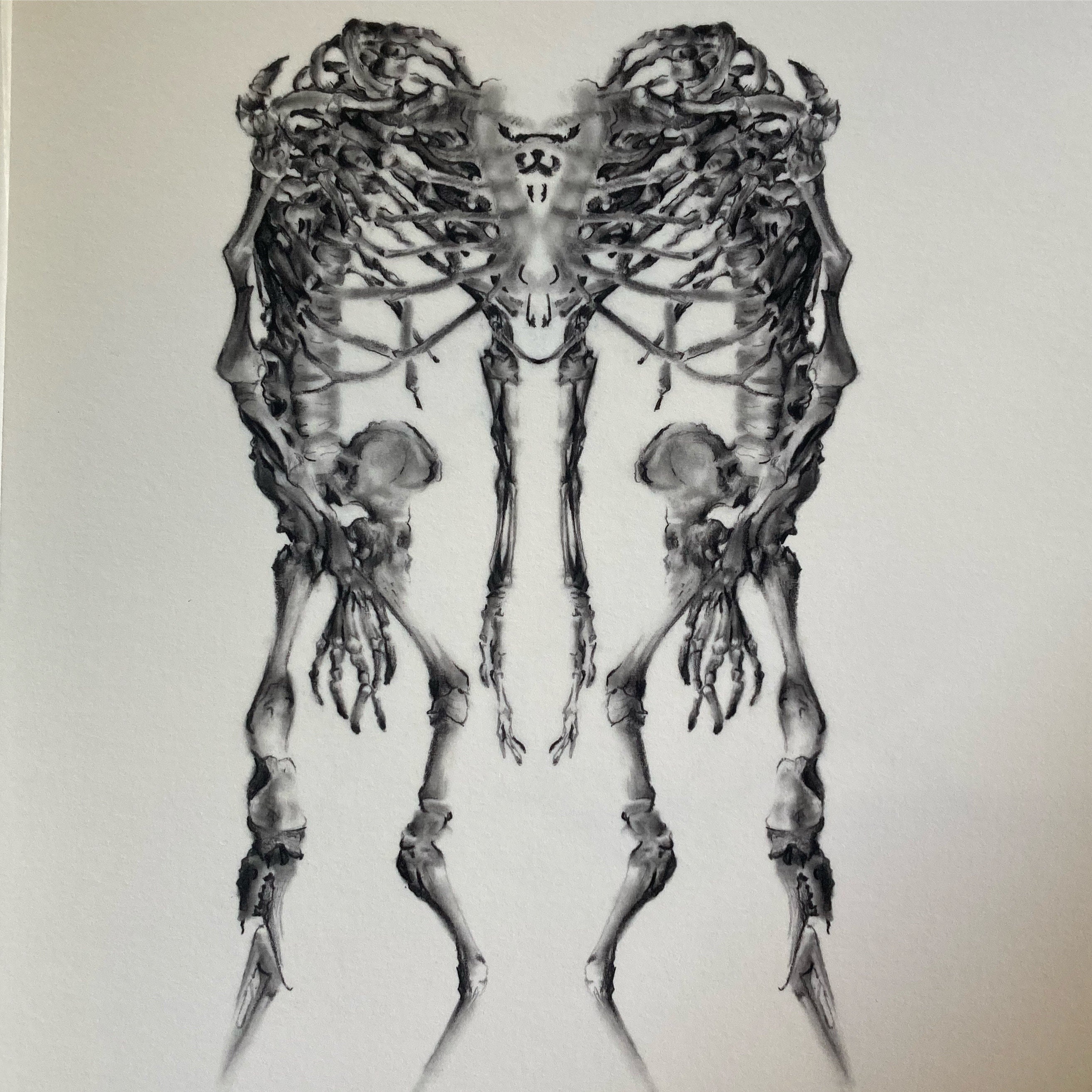 Skeleton Pencil Drawing Print Gothic Unique Art - Etsy