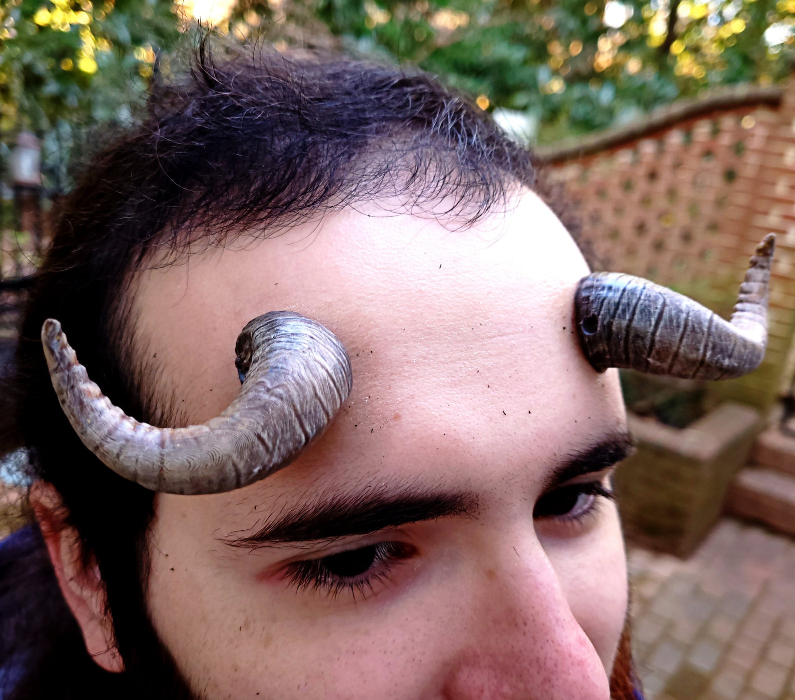 Custom 3D Printed Horns Fae or Demon Horns for LARP or - Etsy