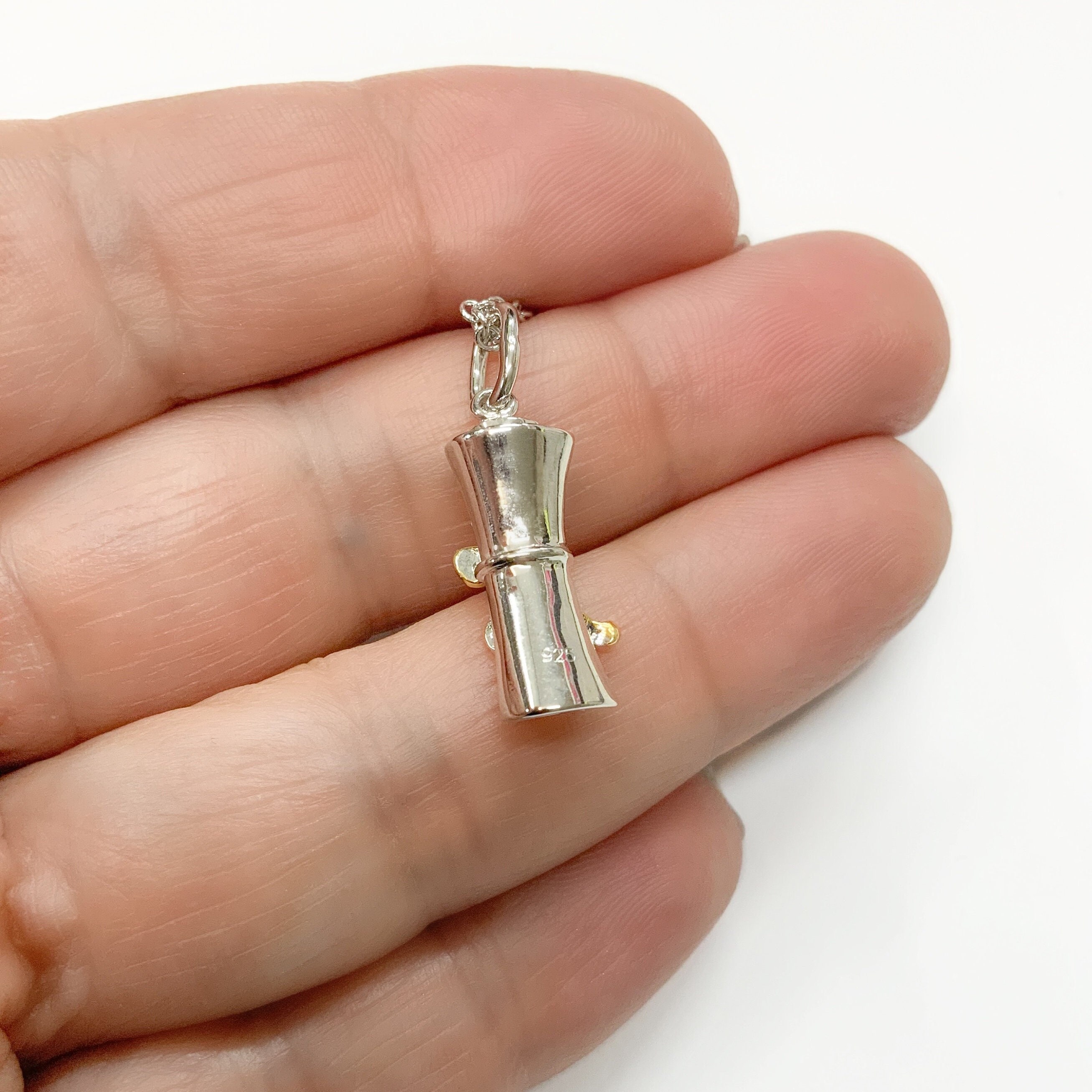 Silver Graduation Scroll in Gold Ribbon/ Honor Cord Necklace/ School ...