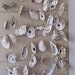 Oyster Shell Strings (one Strand) - Etsy