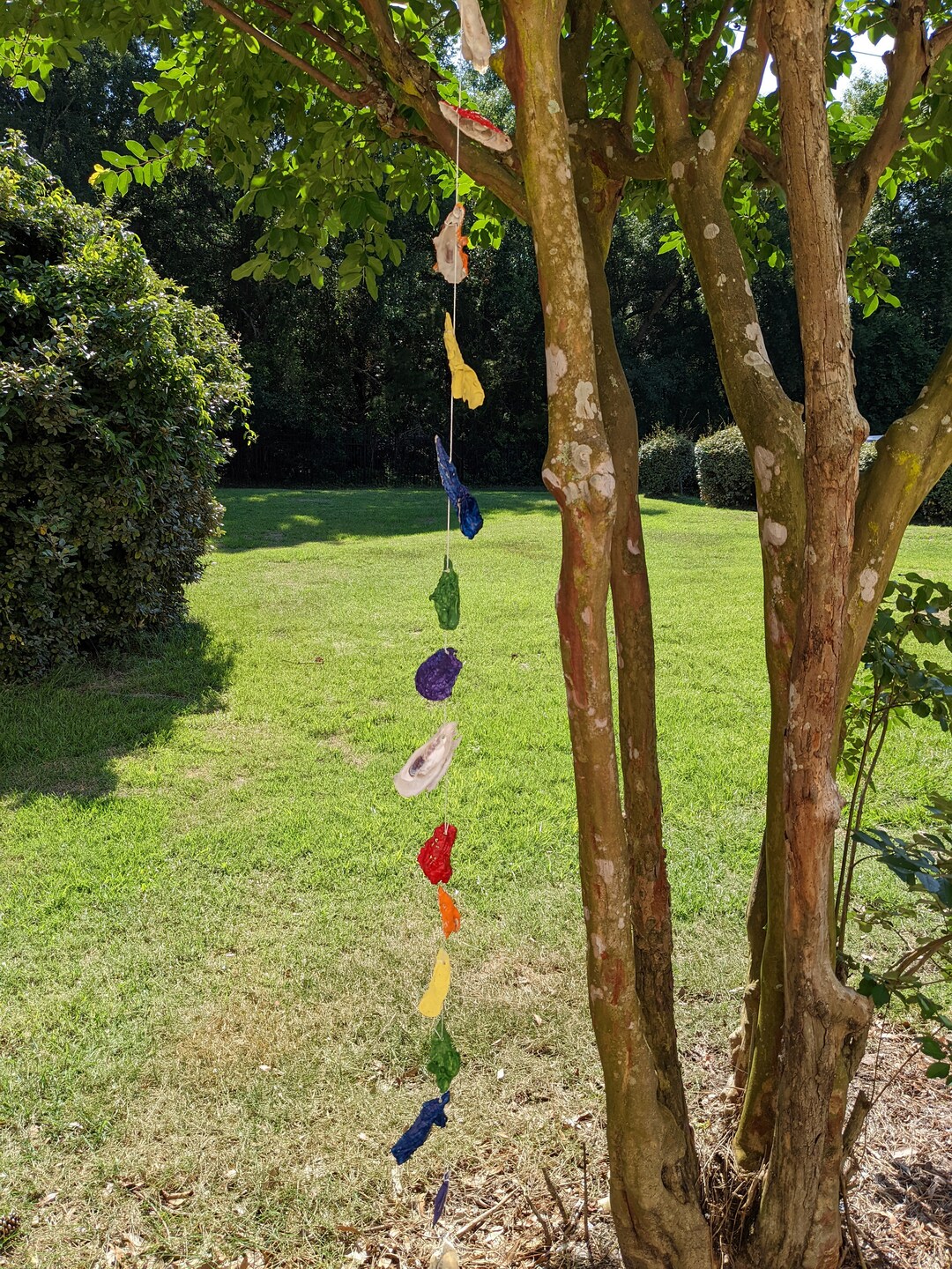 Oyster Pride Strand - Etsy