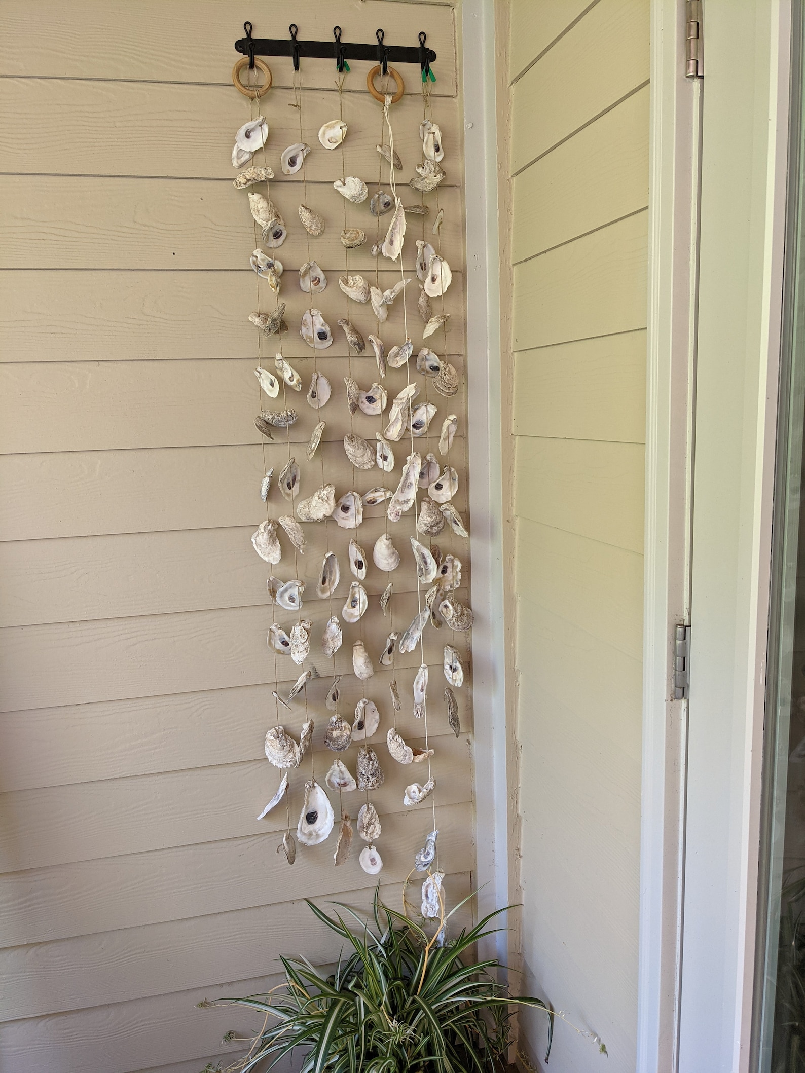 Oyster Shell Strings one Strand - Etsy