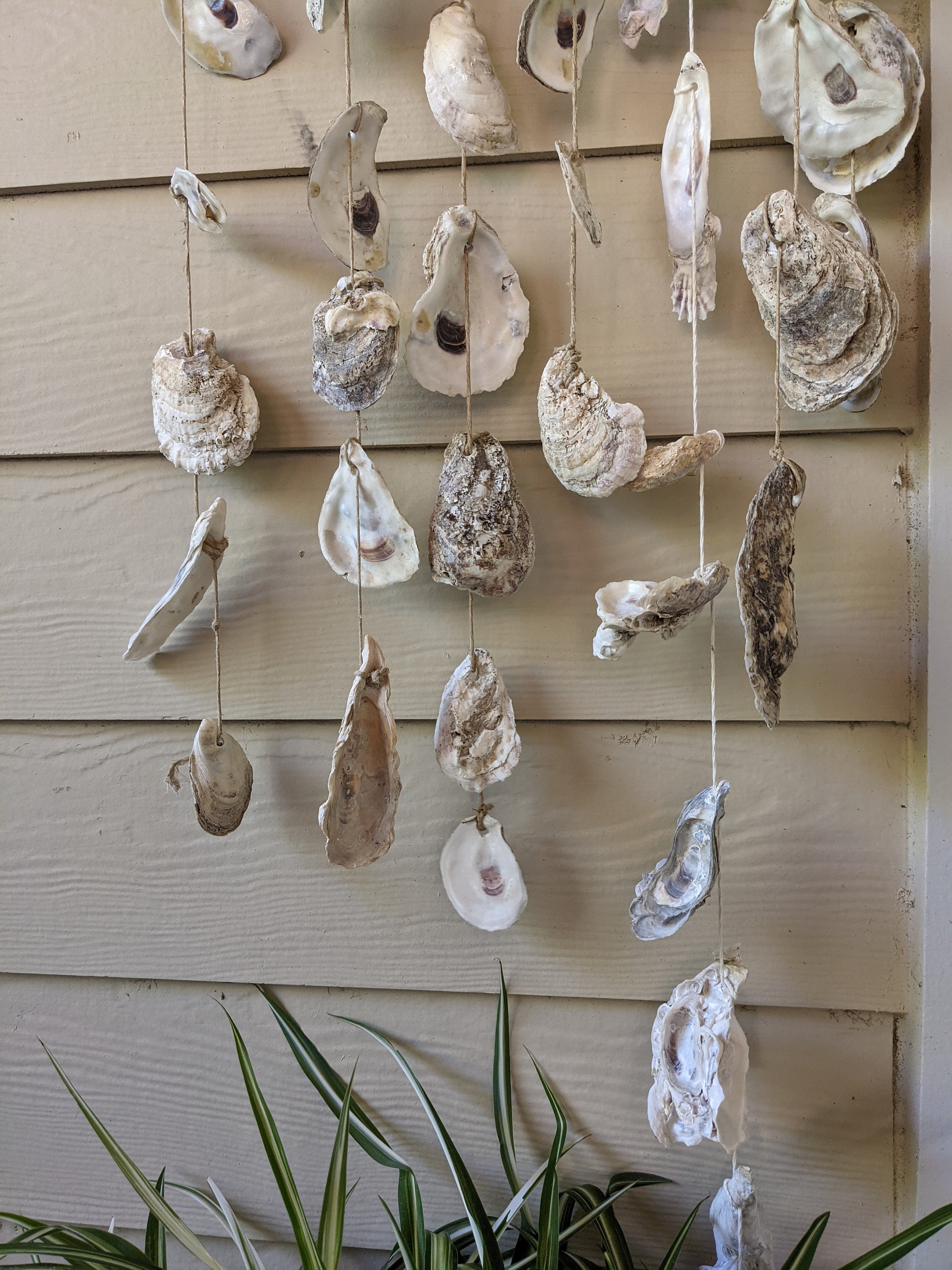 Oyster Shell Strings one Strand - Etsy