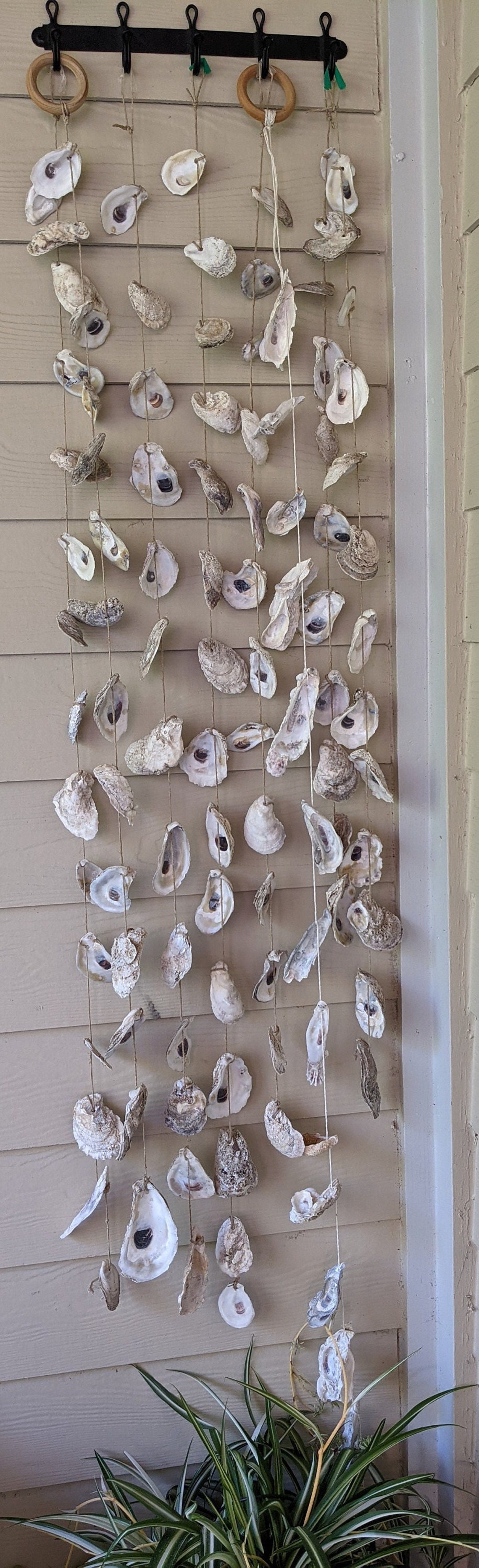 Oyster Shell Strings (one Strand) - Etsy