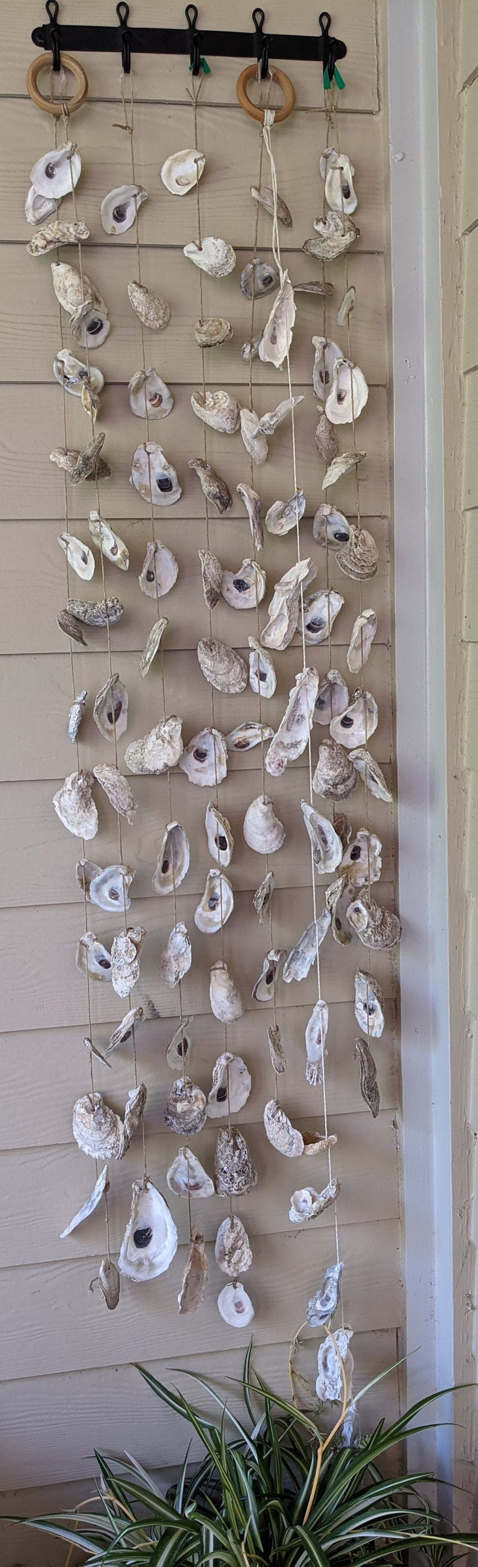 Oyster Shell Strings one Strand | Etsy