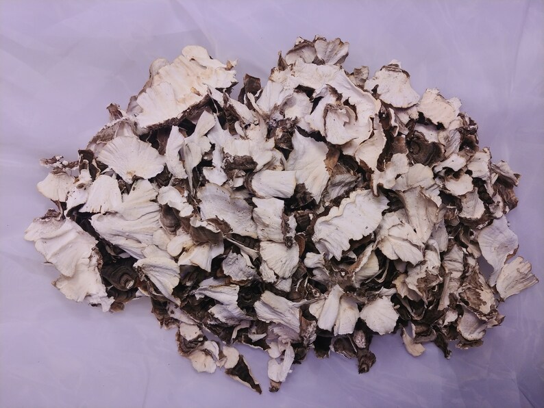 Wildcrafted Whole Turkey Tail - "improved" and Standard Grade - Etsy