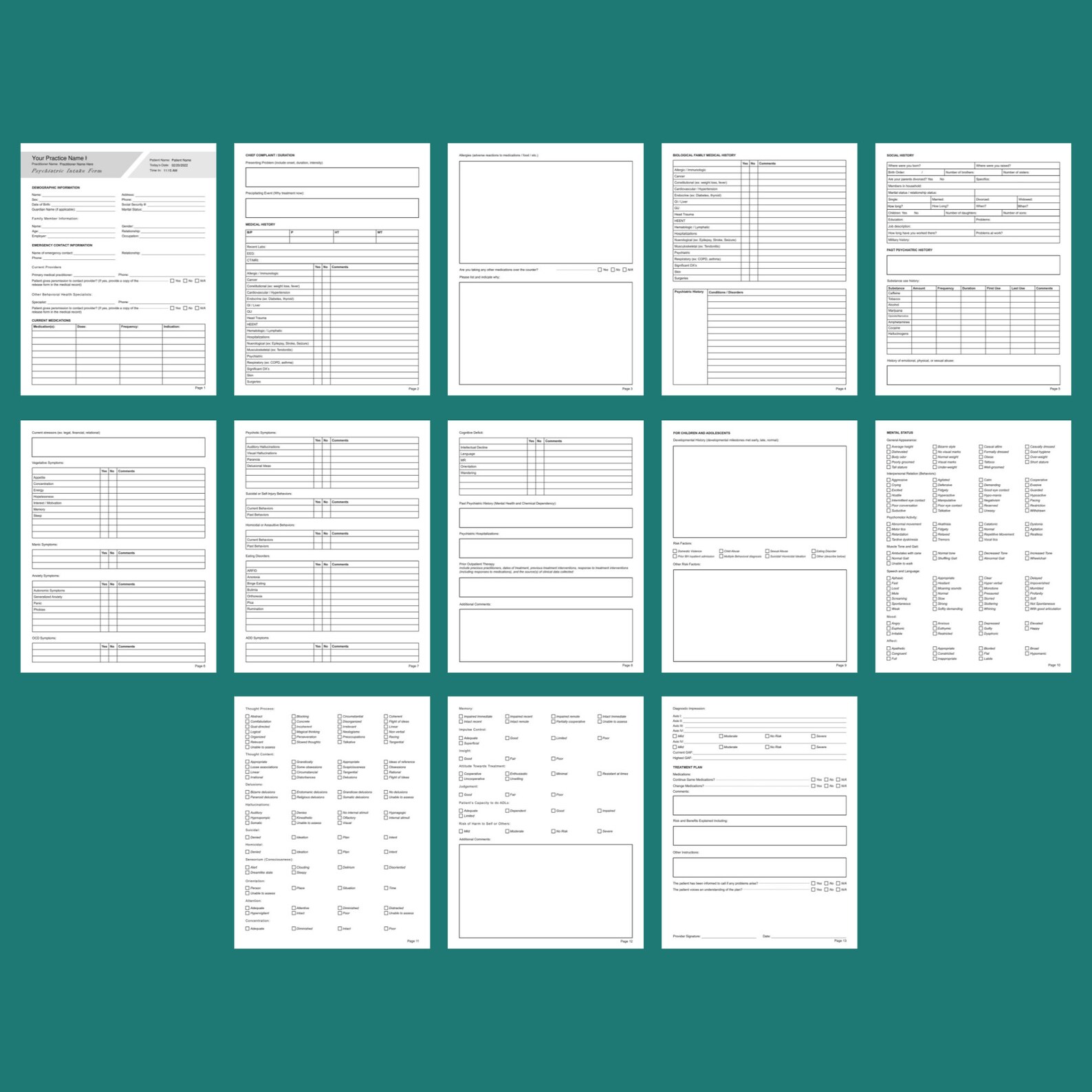 Psychiatric Intake Form PDF Template for Psychiatrists, Nurse ...