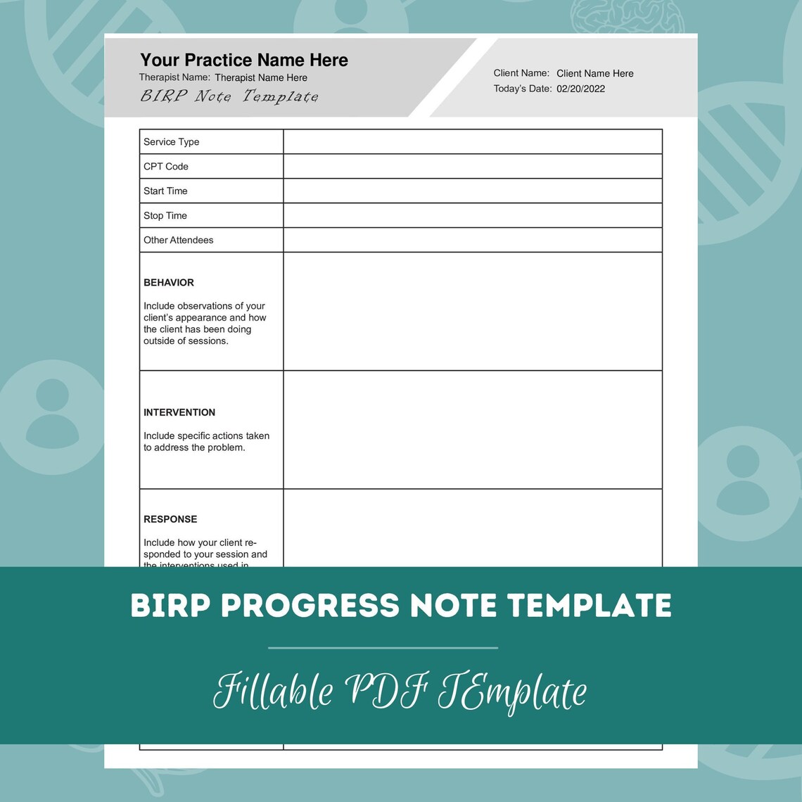 BIRP Progress Note Template - Short and Long | Editable / Fillable PDF ...