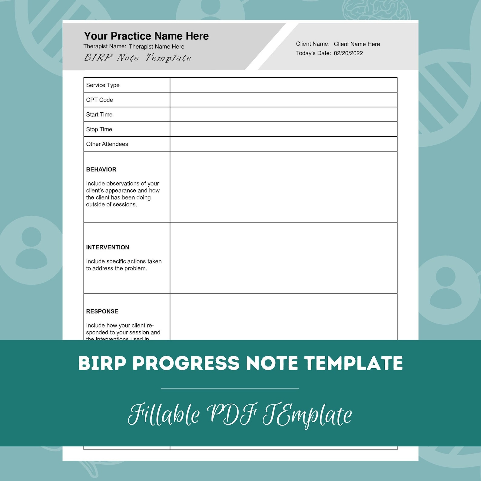 BIRP Progress Note Template - Short and Long | Editable / Fillable PDF ...