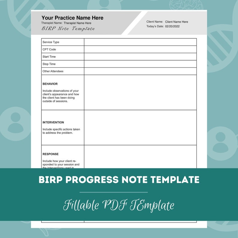 BIRP Progress Note Template - Short and Long | Editable / Fillable PDF ...