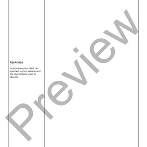 BIRP Progress Note Template - Short and Long | Editable / Fillable PDF ...