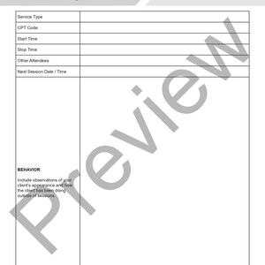 BIRP Progress Note Template - Short and Long | Editable / Fillable PDF ...