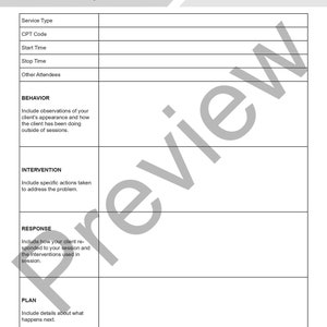 BIRP Progress Note Template - Short and Long | Editable / Fillable PDF ...