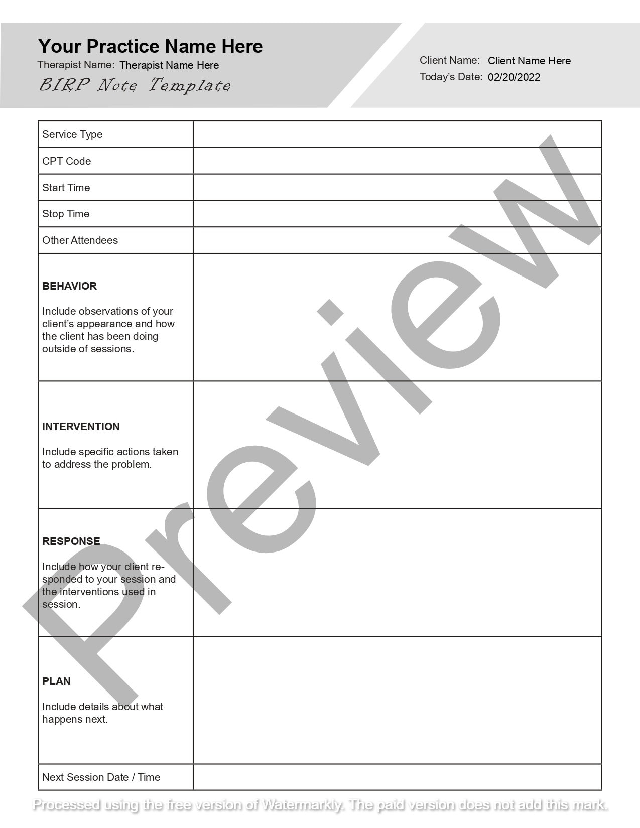 BIRP Progress Note Template - Short and Long | Editable / Fillable PDF ...