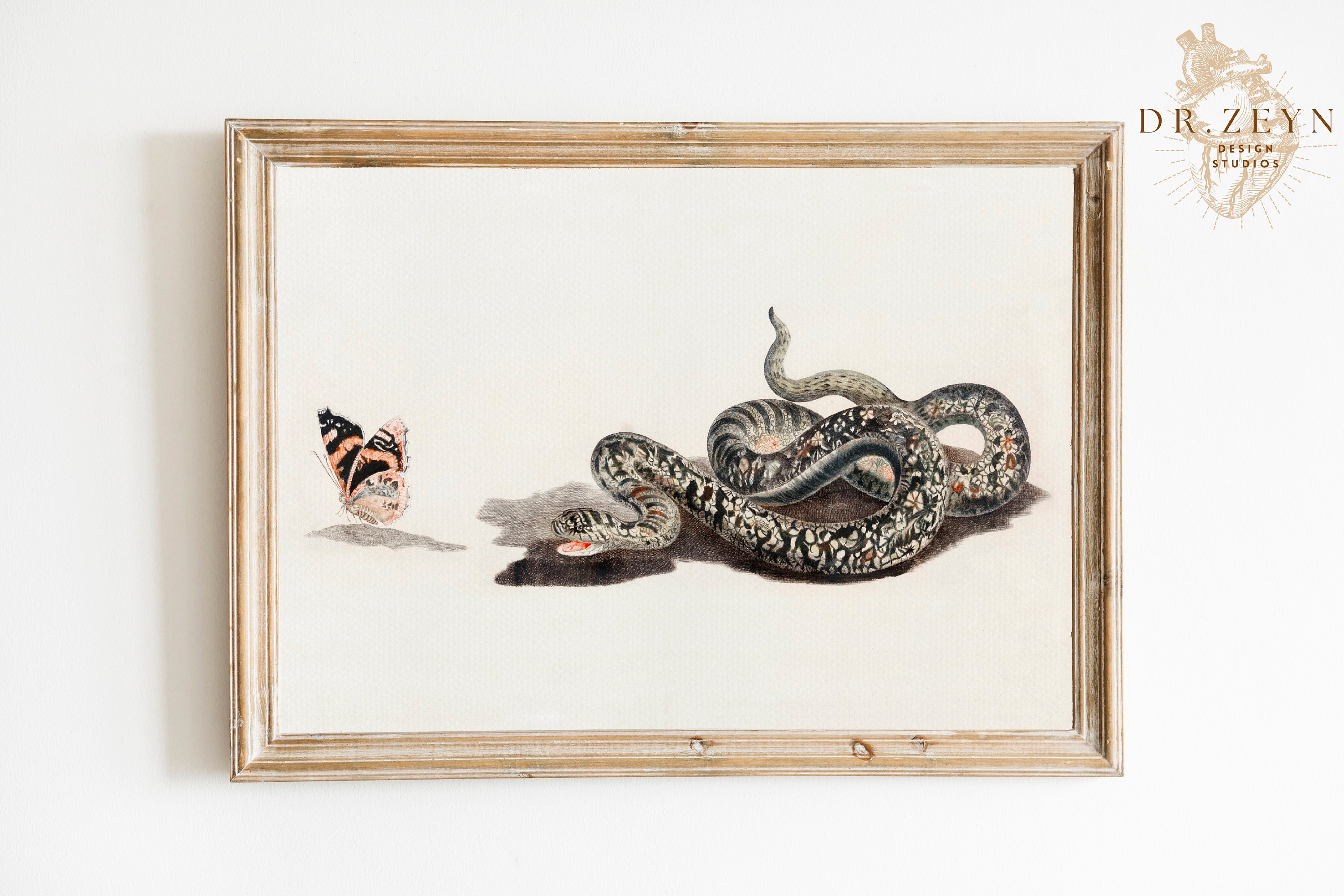 Snake and the Butterfly Antique / Vintage PRINTABLE Wall Art - Etsy