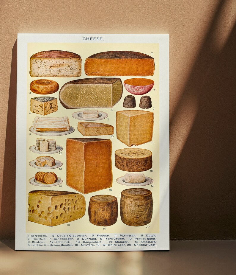 Cheese Types Poster Antique / Vintage PRINTABLE Italian - Etsy