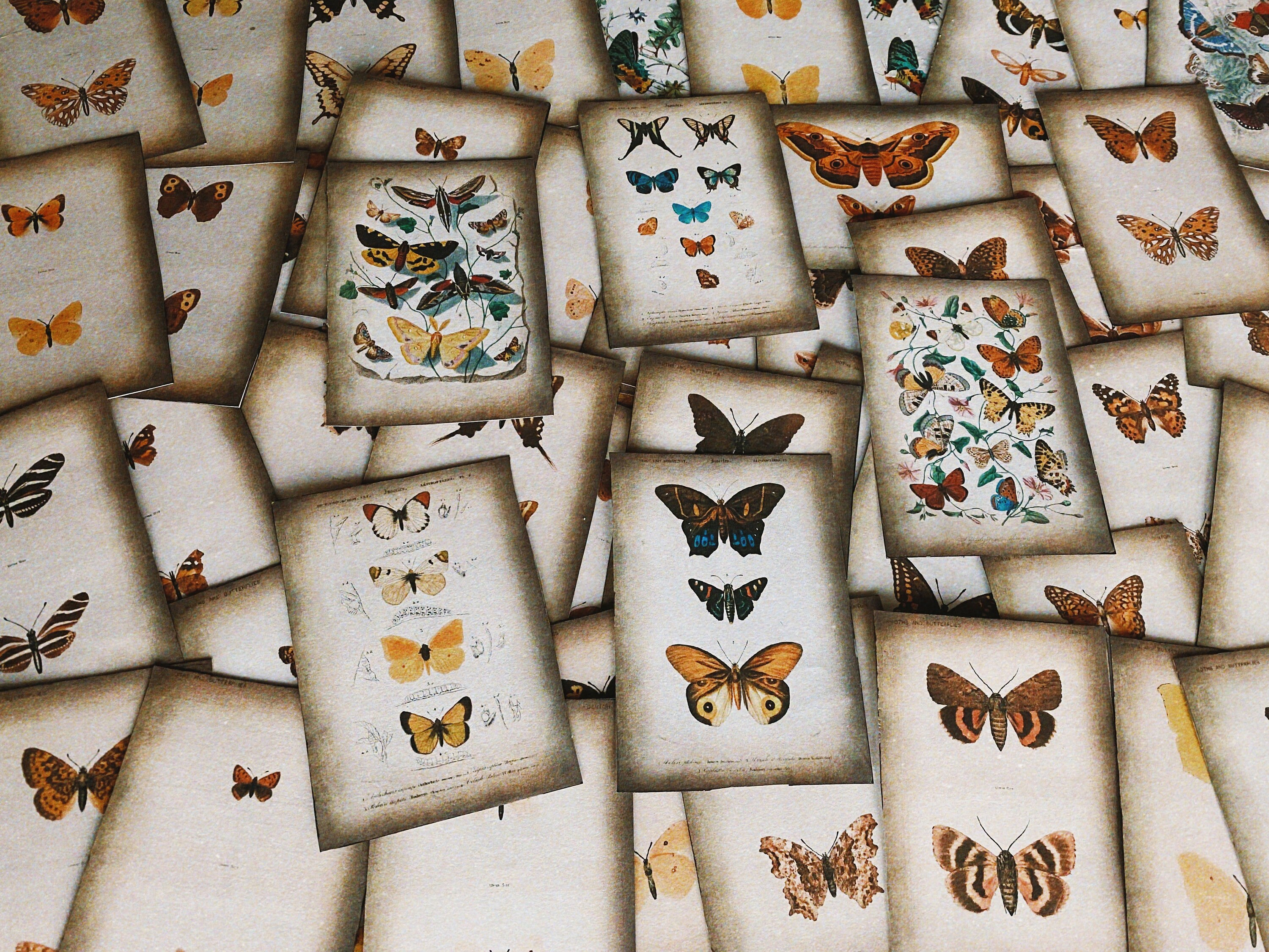 PRINTABLE Butterfly Ephemera Note Sheets Antique / Vintage Junk Journal ...