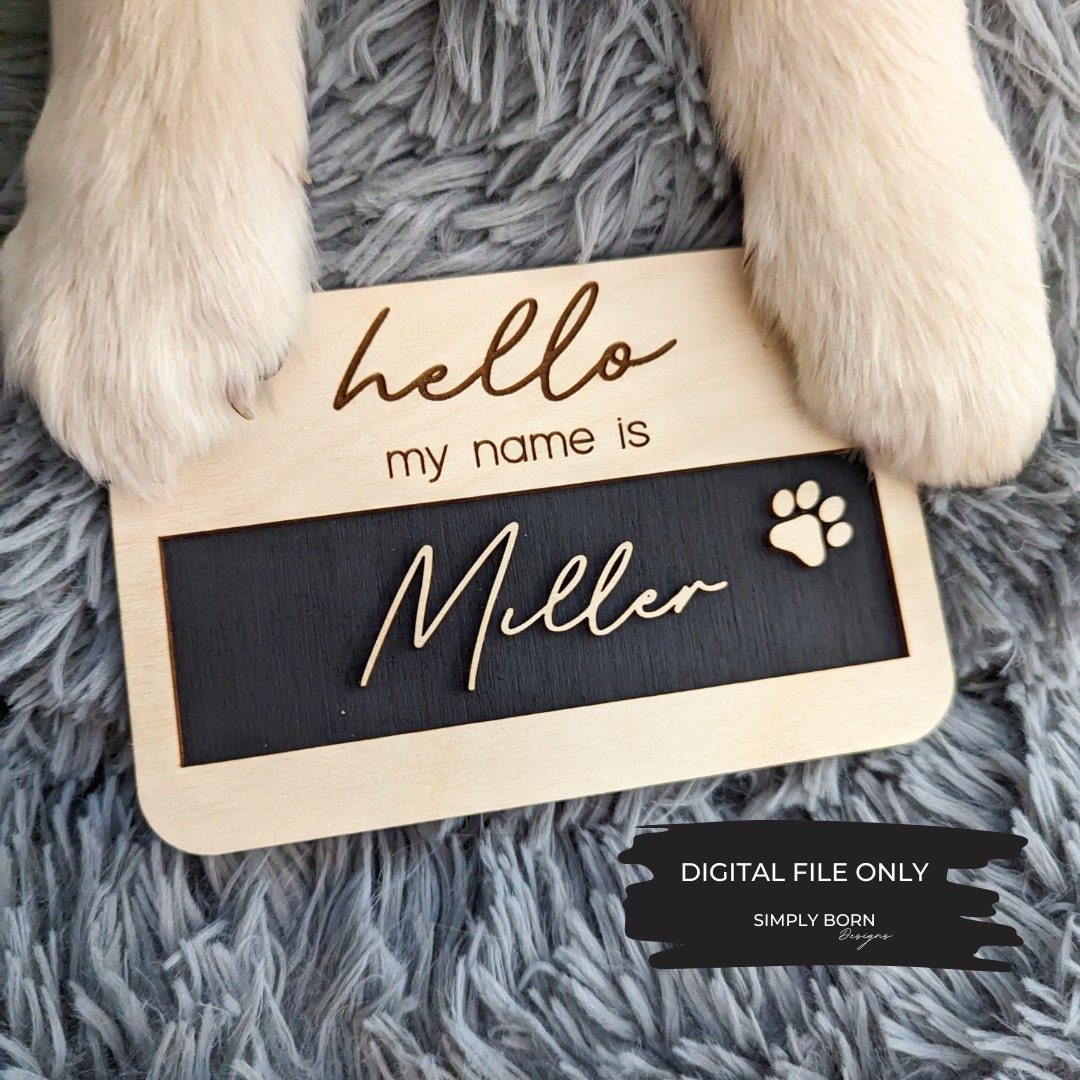 Hello World SVG, Paw Print SVG, Dog Laser Cut Files, Dog Announcement ...