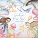Under the Sea Digital Watercolor Clipart, Sea Animals, Undersea and ...