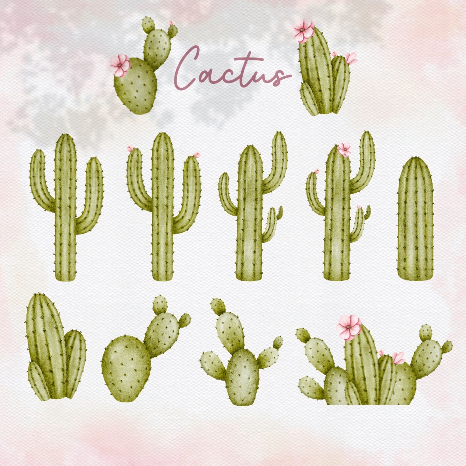 Llama Cactus Clipart Digital Watercolor - Etsy