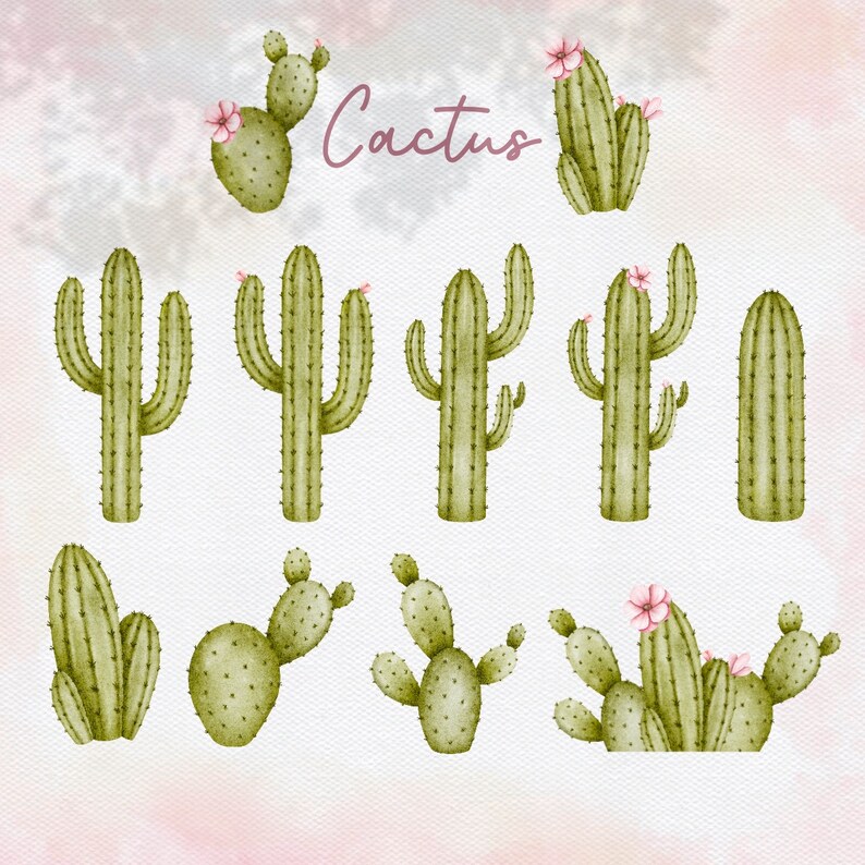 Llama Cactus Clipart Digital Watercolor - Etsy