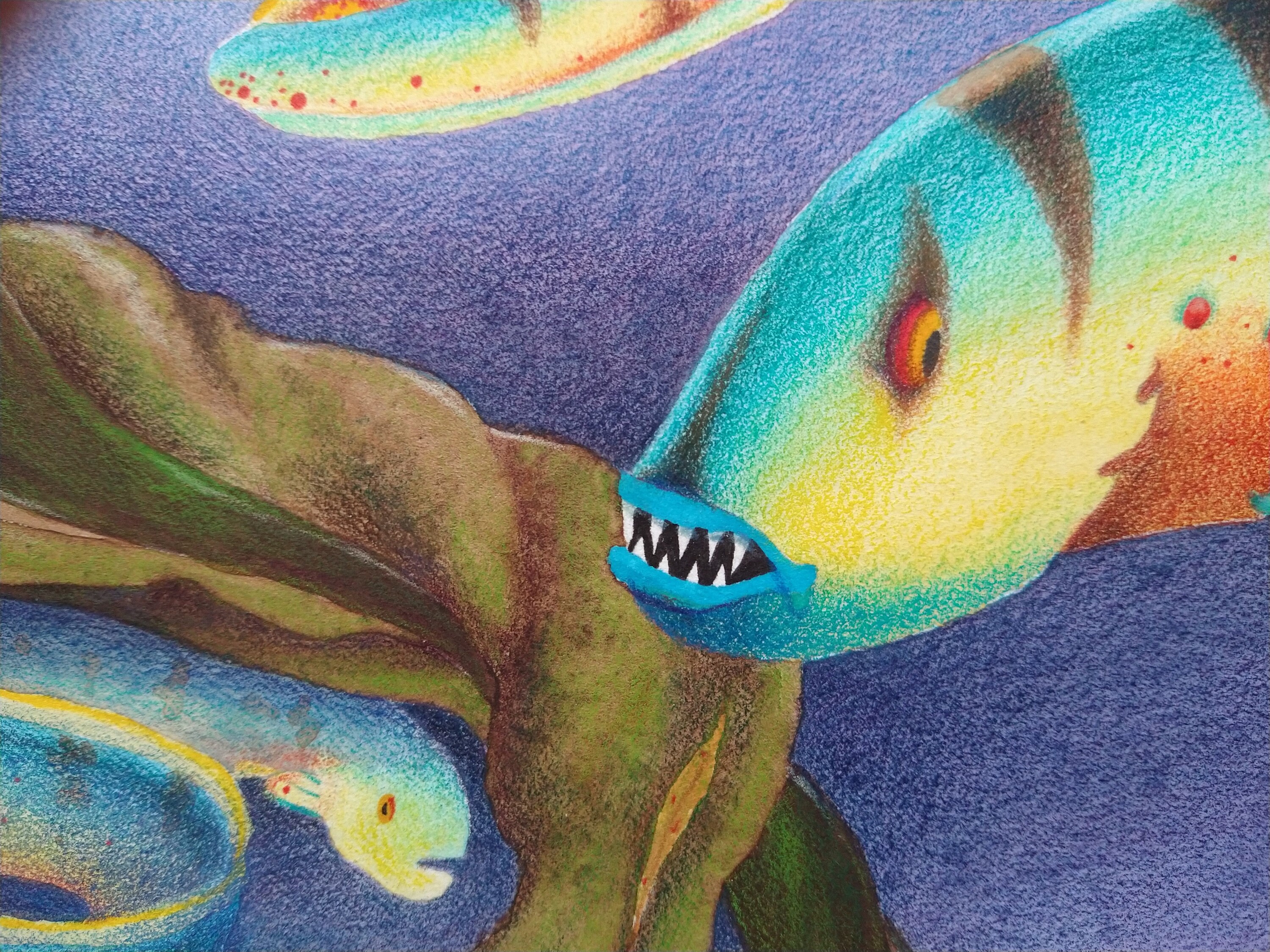 Original Colored Pencil and Watercolor Painting, Eel Nest 8 X 11 2019 ...