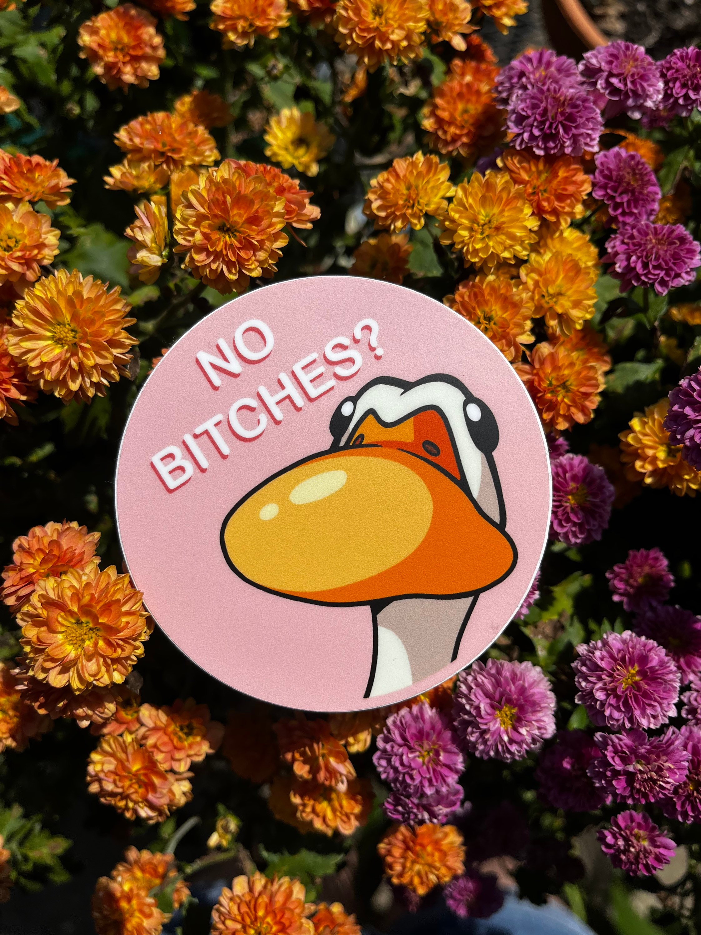 Funny Duck Sticker Funny Animal Sticker Meme Sticker - Etsy