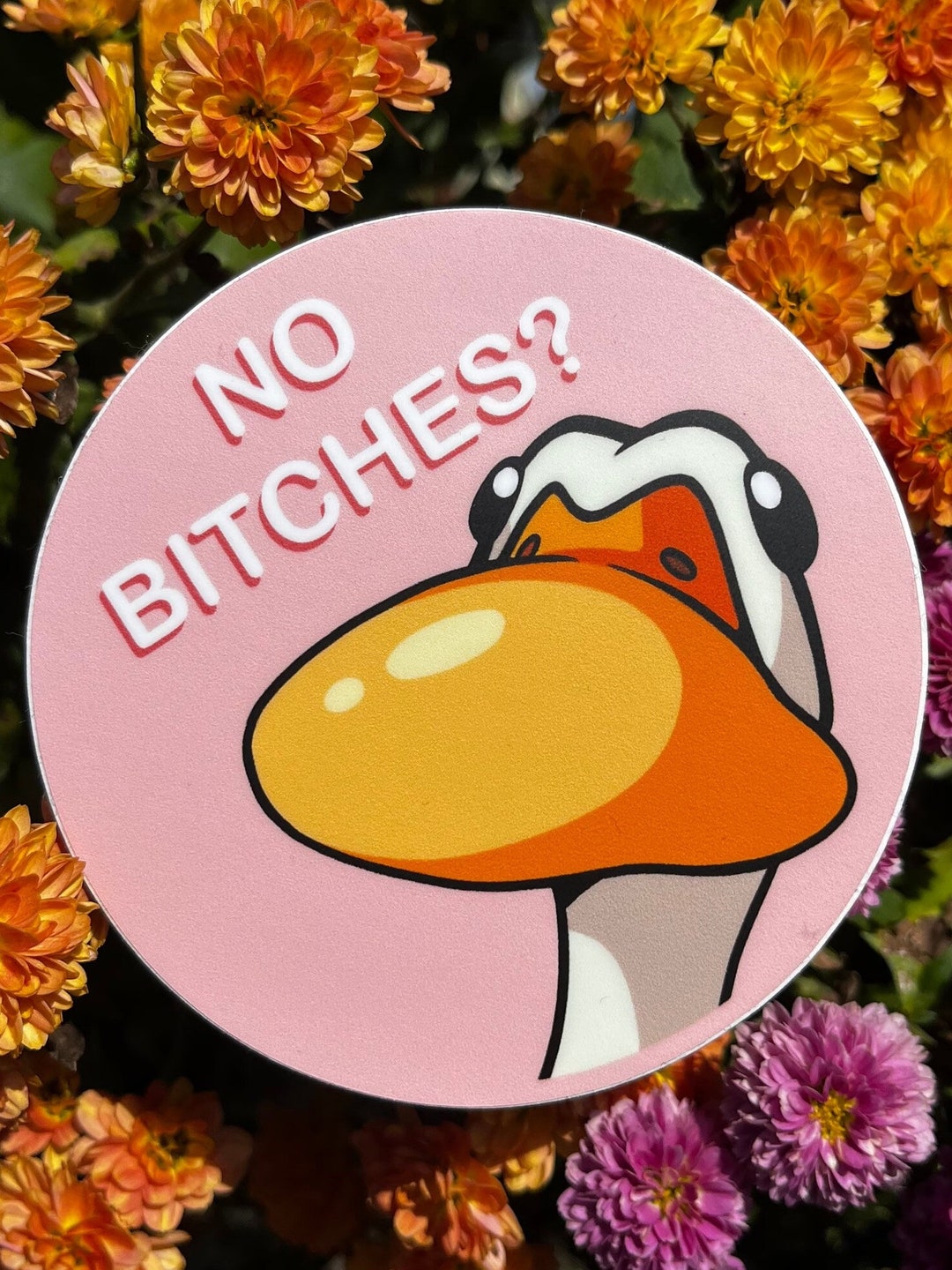 Funny Duck Sticker | Funny Animal Sticker | Meme Sticker - Etsy