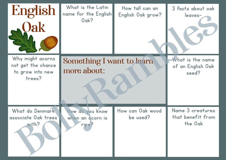 English Oak Tree Quiz Printable Worksheets. All Ages | Differentiated ...