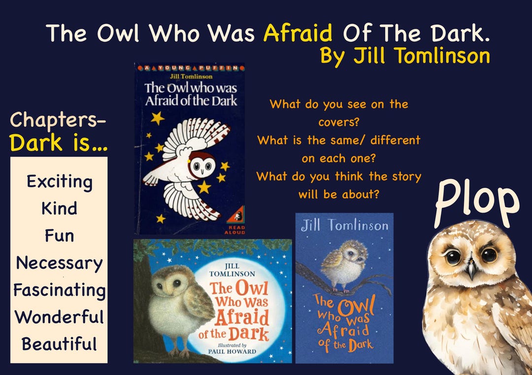 Chapter Book Study- the Owl Who Was Afraid of the Dark | Nature Story ...