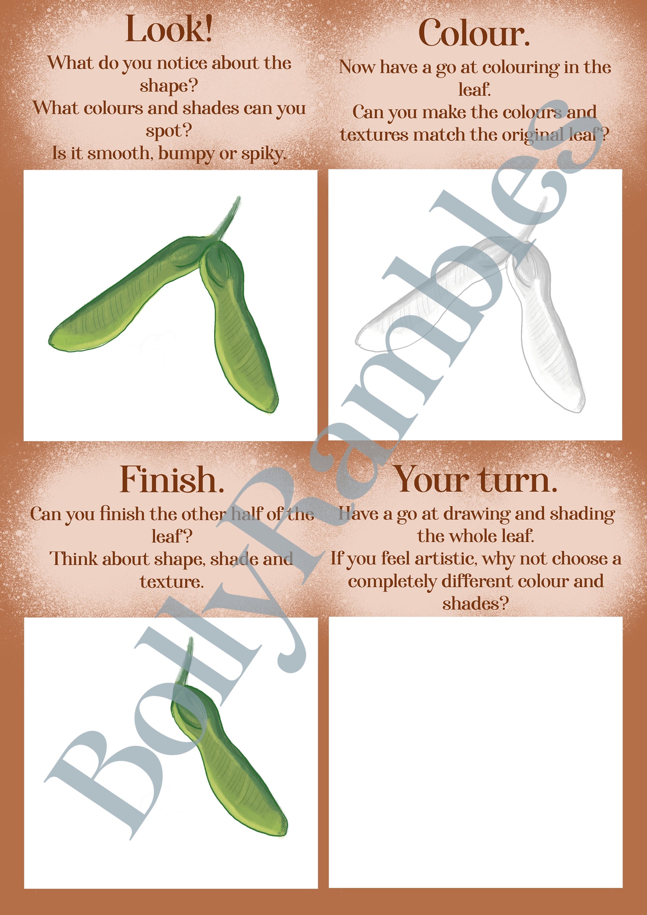 Botanical British Leaf & Seed Drawing Tutorial | 6 Worksheets | Digital ...