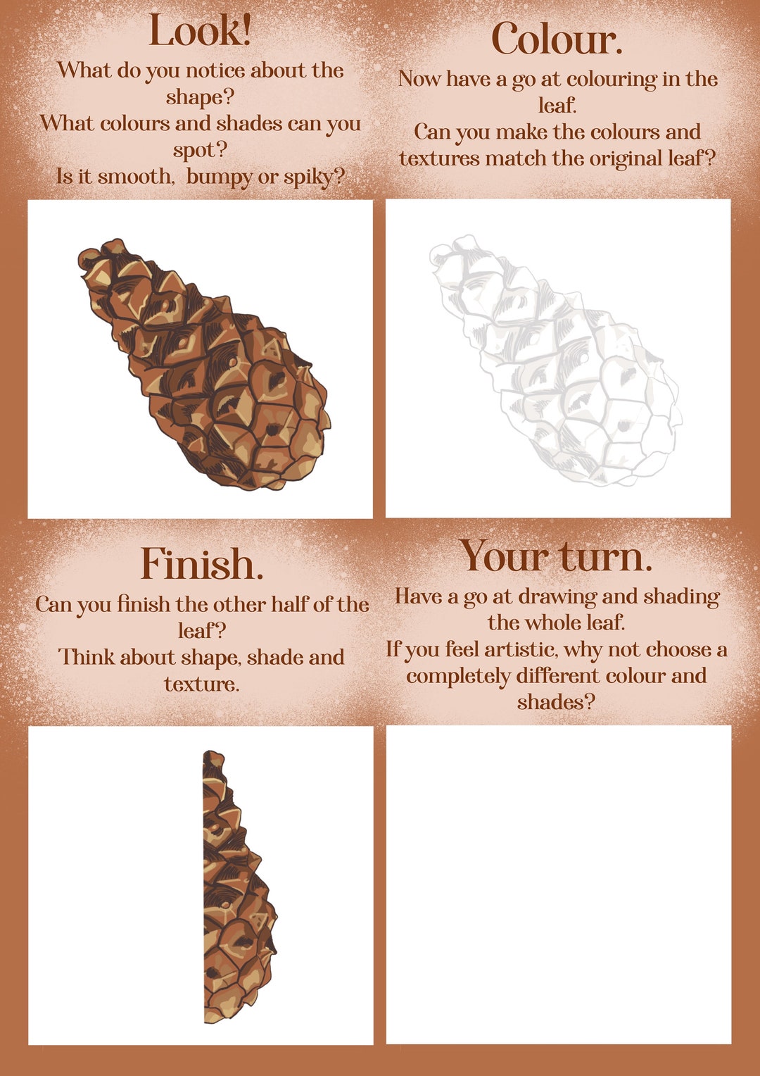Botanical British Leaf & Seed Drawing Tutorial | 6 Worksheets | Digital ...
