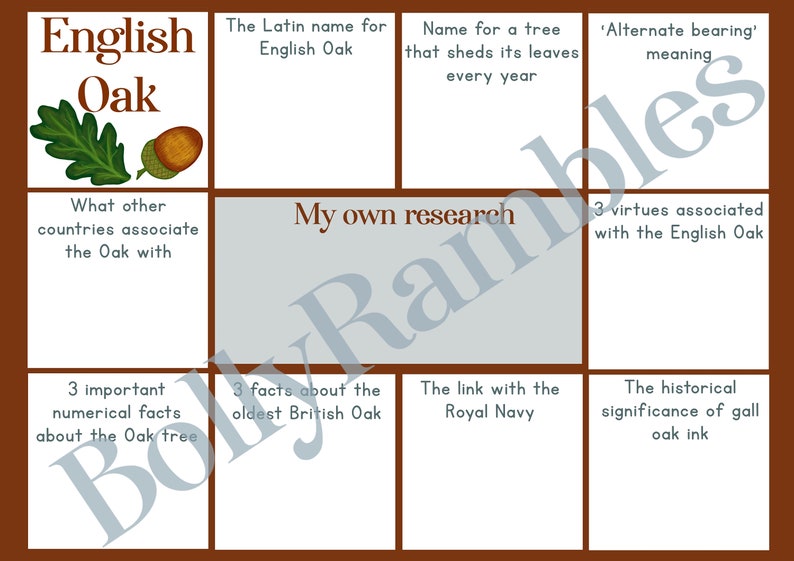 English Oak Tree Quiz Printable Worksheets. All Ages | Differentiated ...