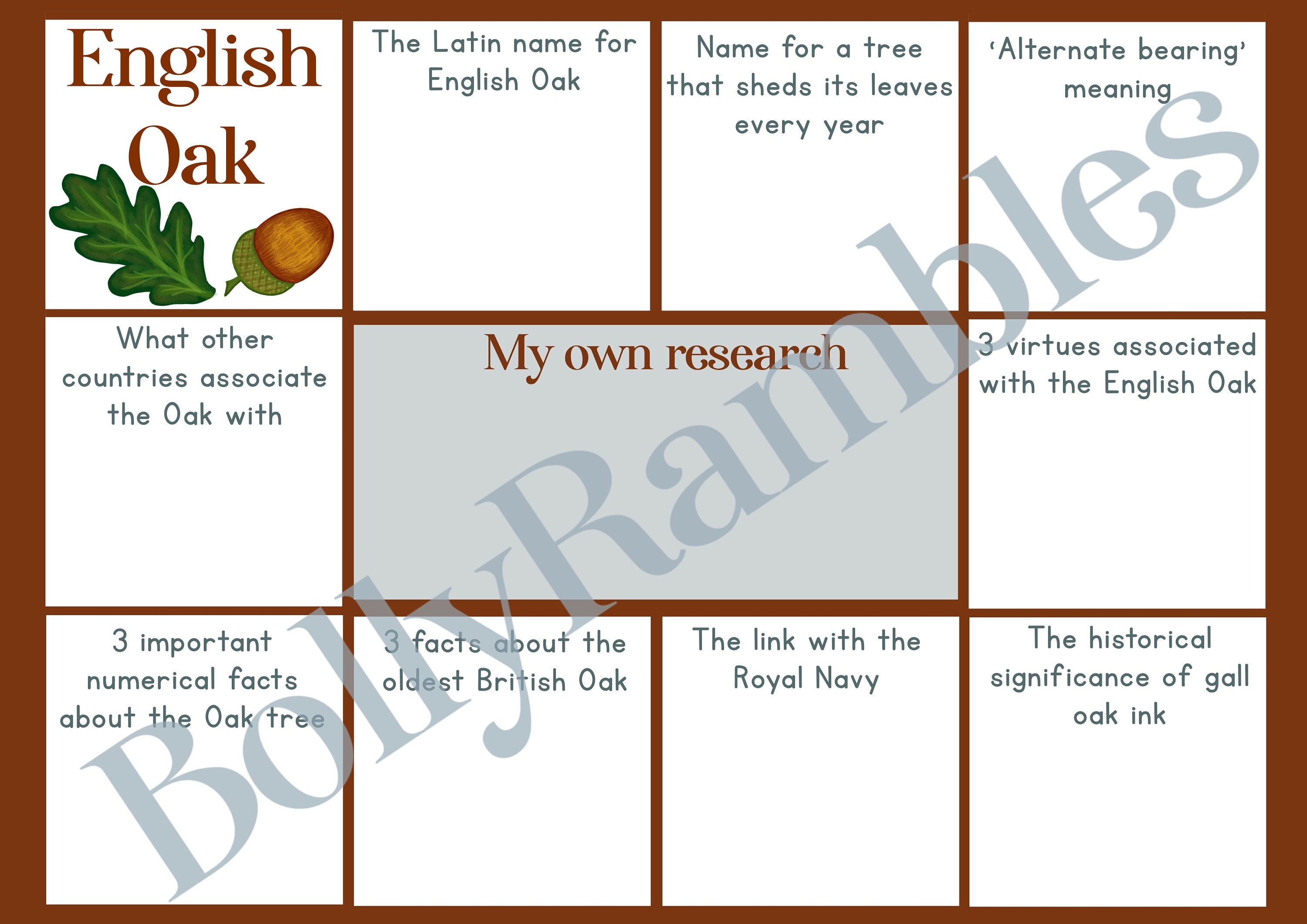 English Oak Tree Quiz Printable Worksheets. All Ages | Differentiated ...