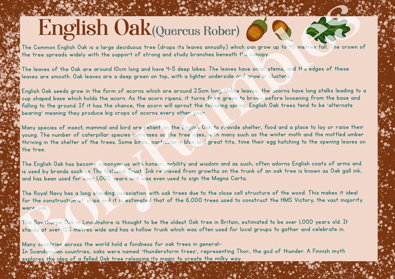 English Oak Tree Quiz Printable Worksheets. All Ages | Differentiated ...
