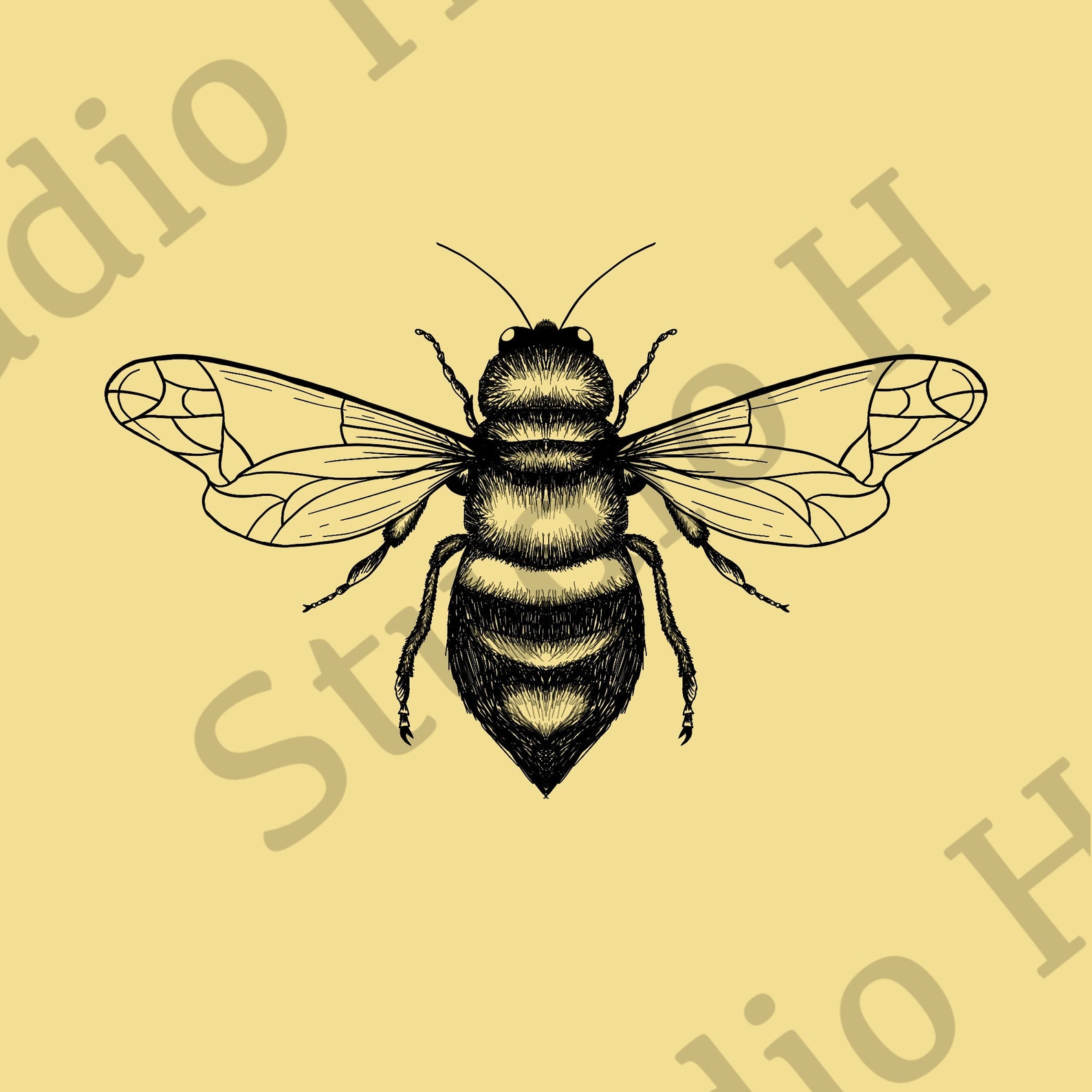 Fine Line Bee in HONEY - Digital Download Print, Printable Art, Digital ...