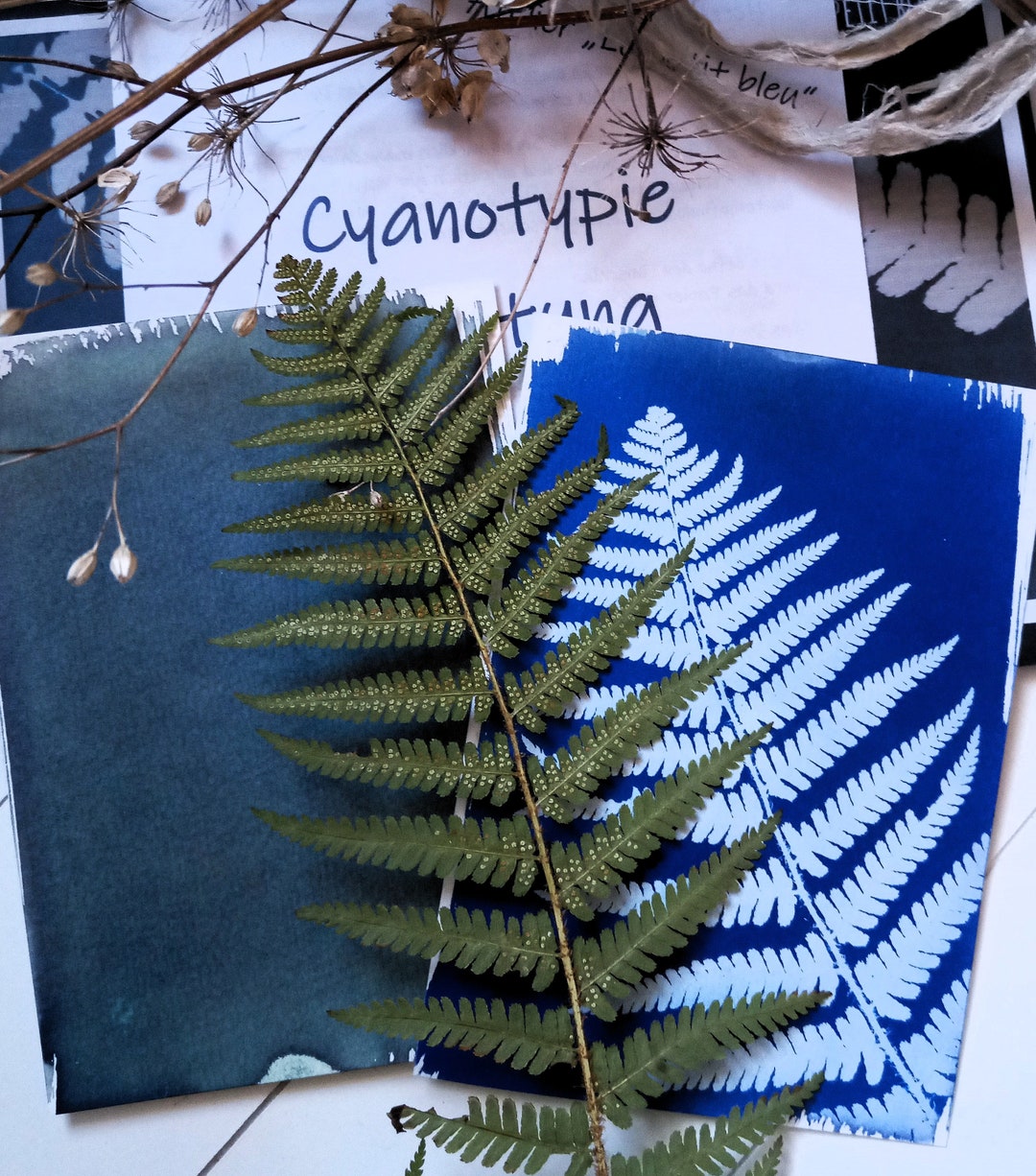 DIY Kit m Cyanotype Solar Paper Gift for - Etsy