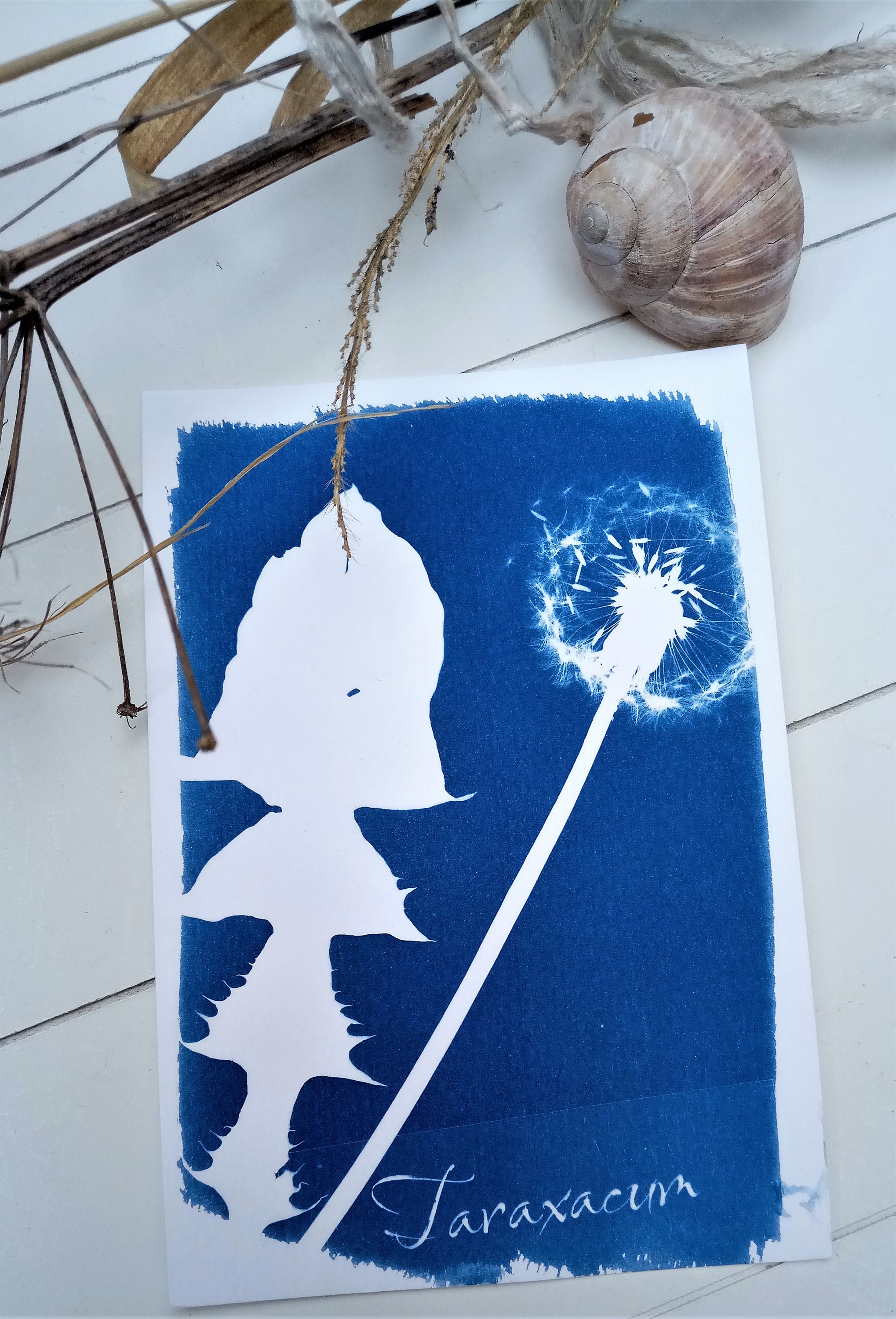 DIY Set Cyanotype Solar Paper Photosensitive Paper Magic - Etsy